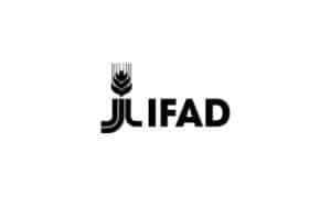 Instiglio Tying Funding to Impact
